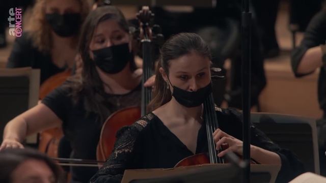 Концерты