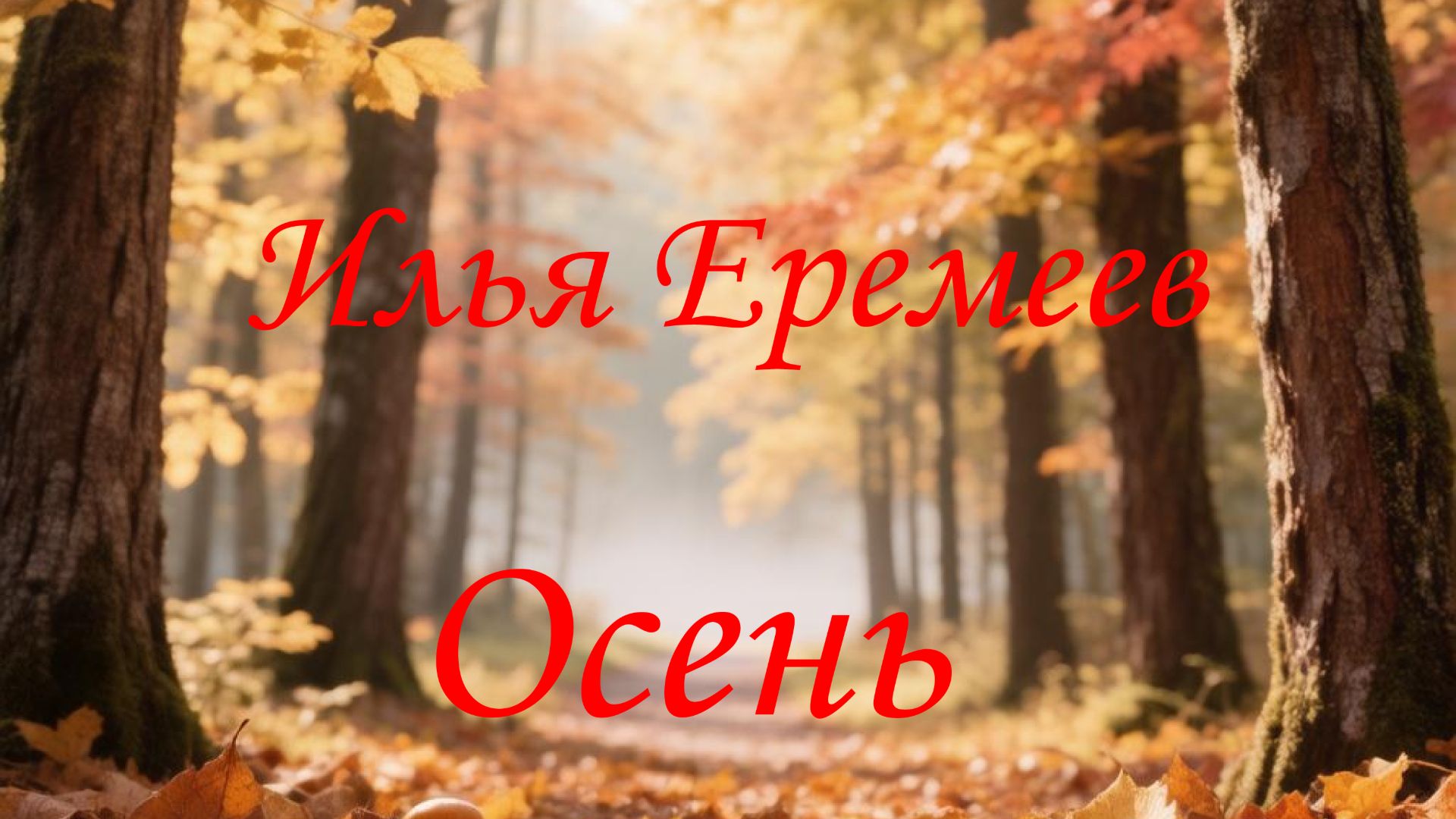 Клипы