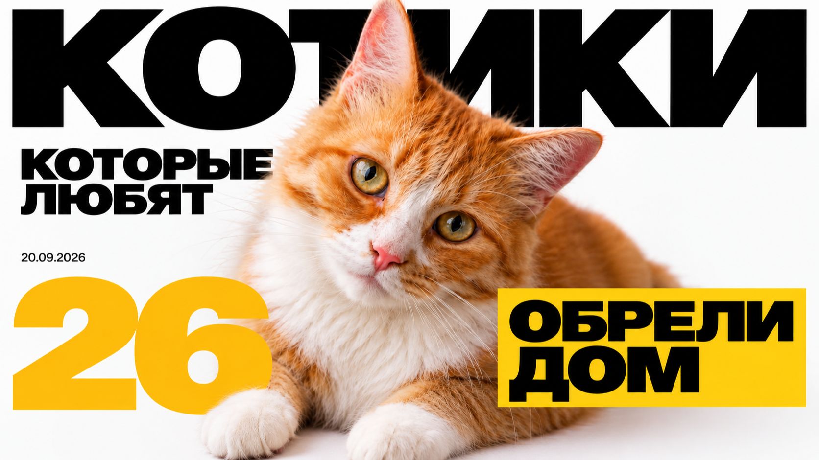 Фестивали