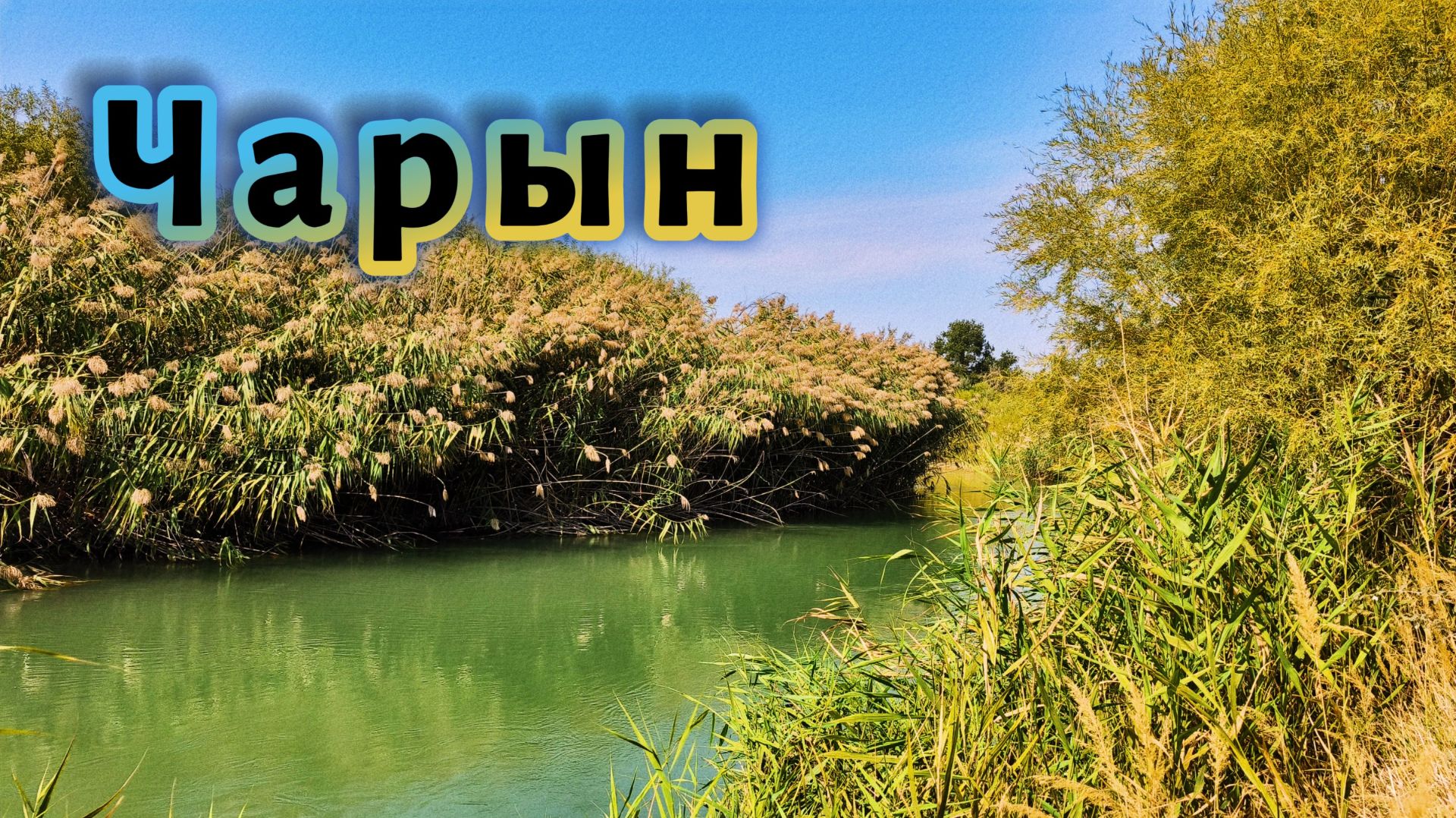 Чарын