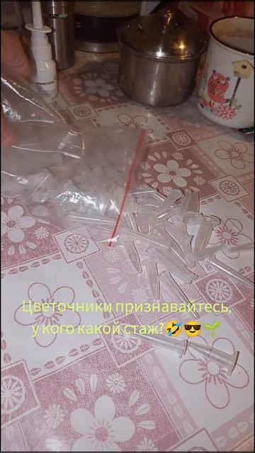 Цветочки - лепесточки 🌹