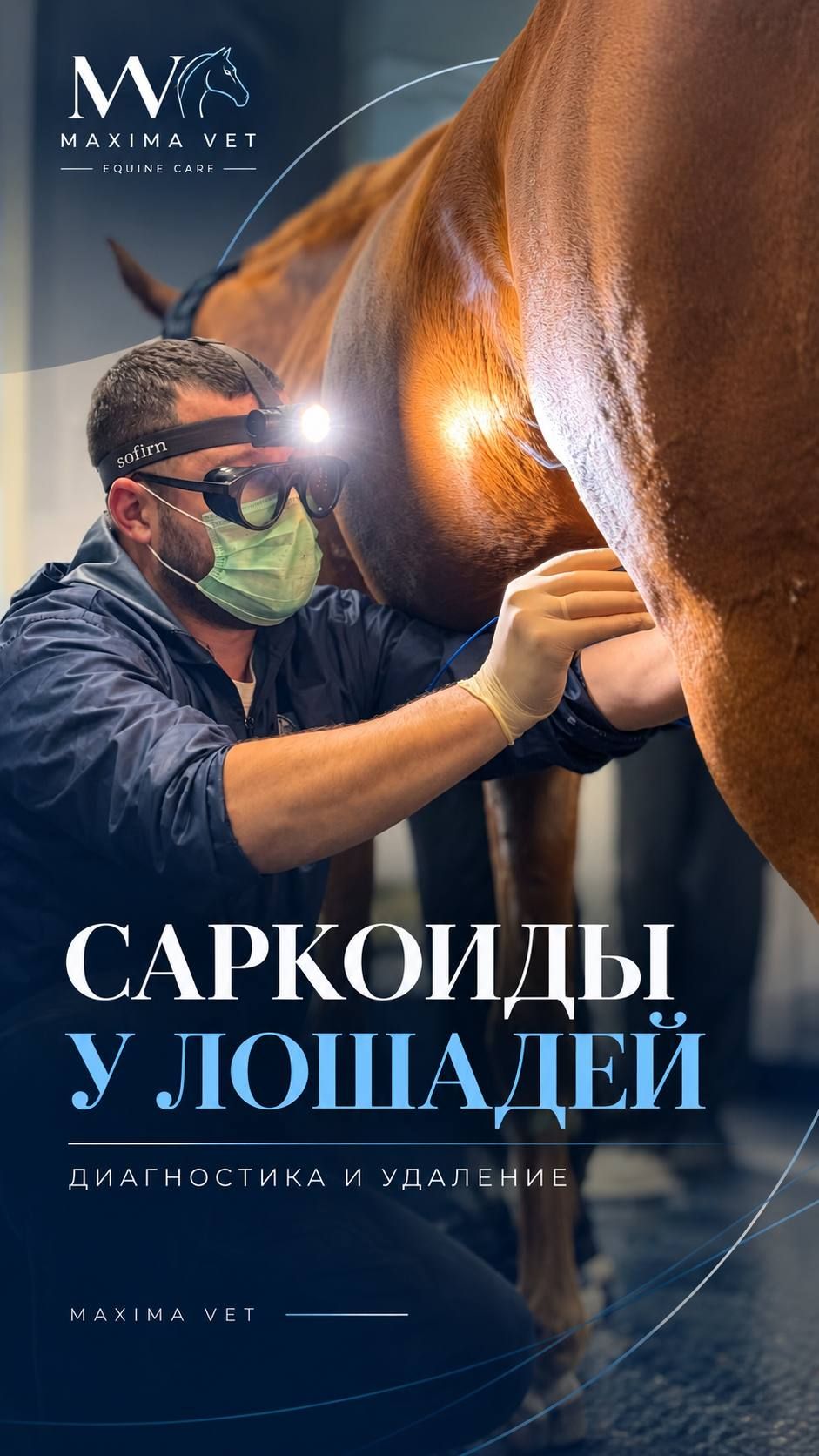 Из практики MAXIMA VET: Клинические случаи, операции и т.д.