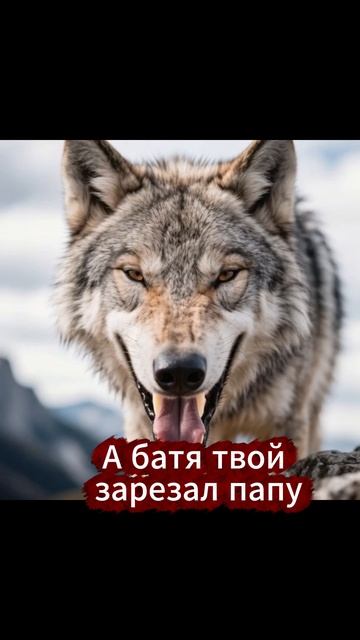 МОИ РОЛИКИ