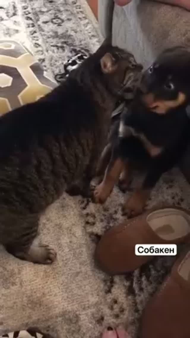 Разное и интересное;)