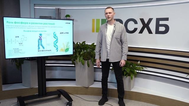 Почва