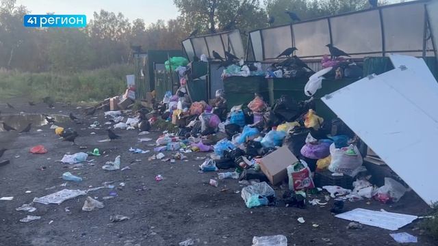 БЕЗ КОММЕНТАРИЕВ