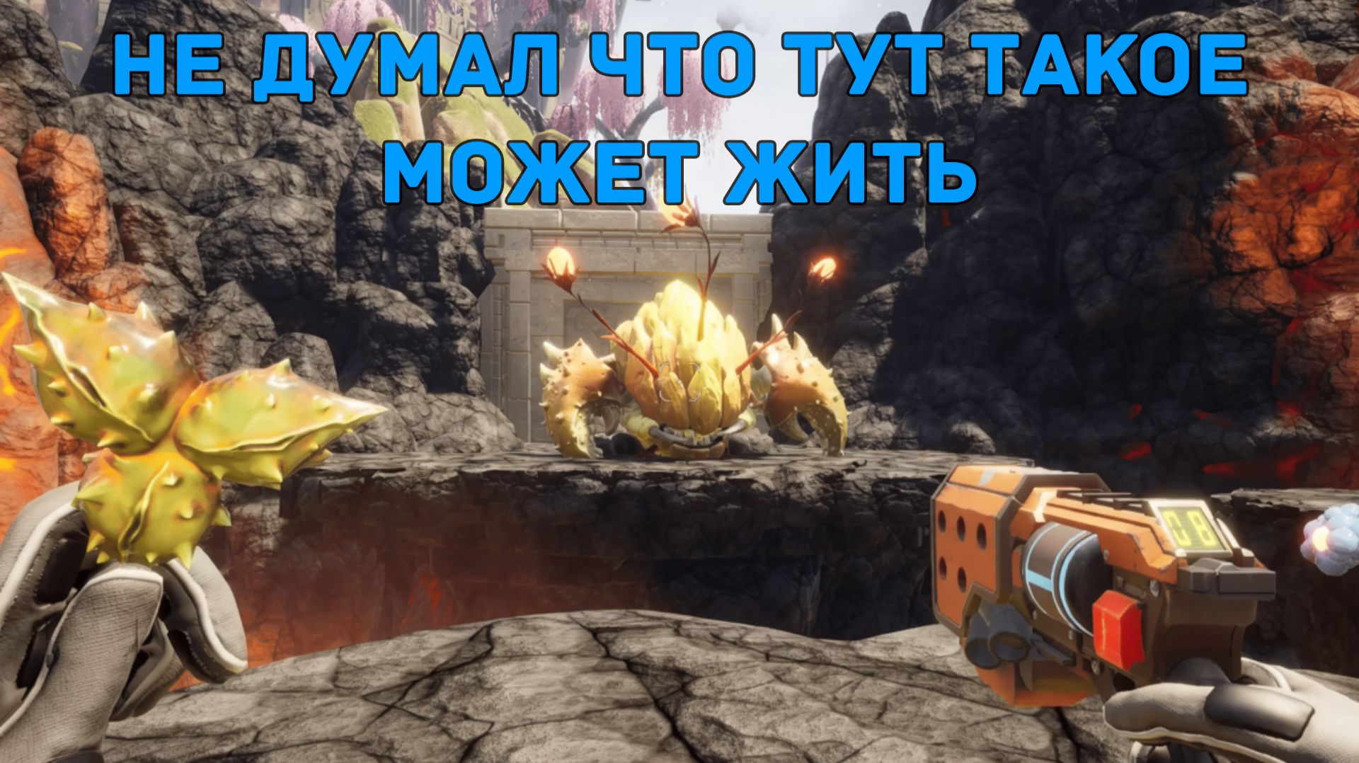 Выживания-Приключения