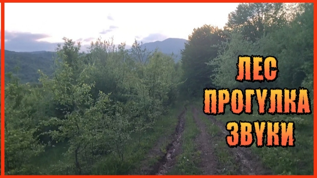VLOG l DOBRY PUTNIK