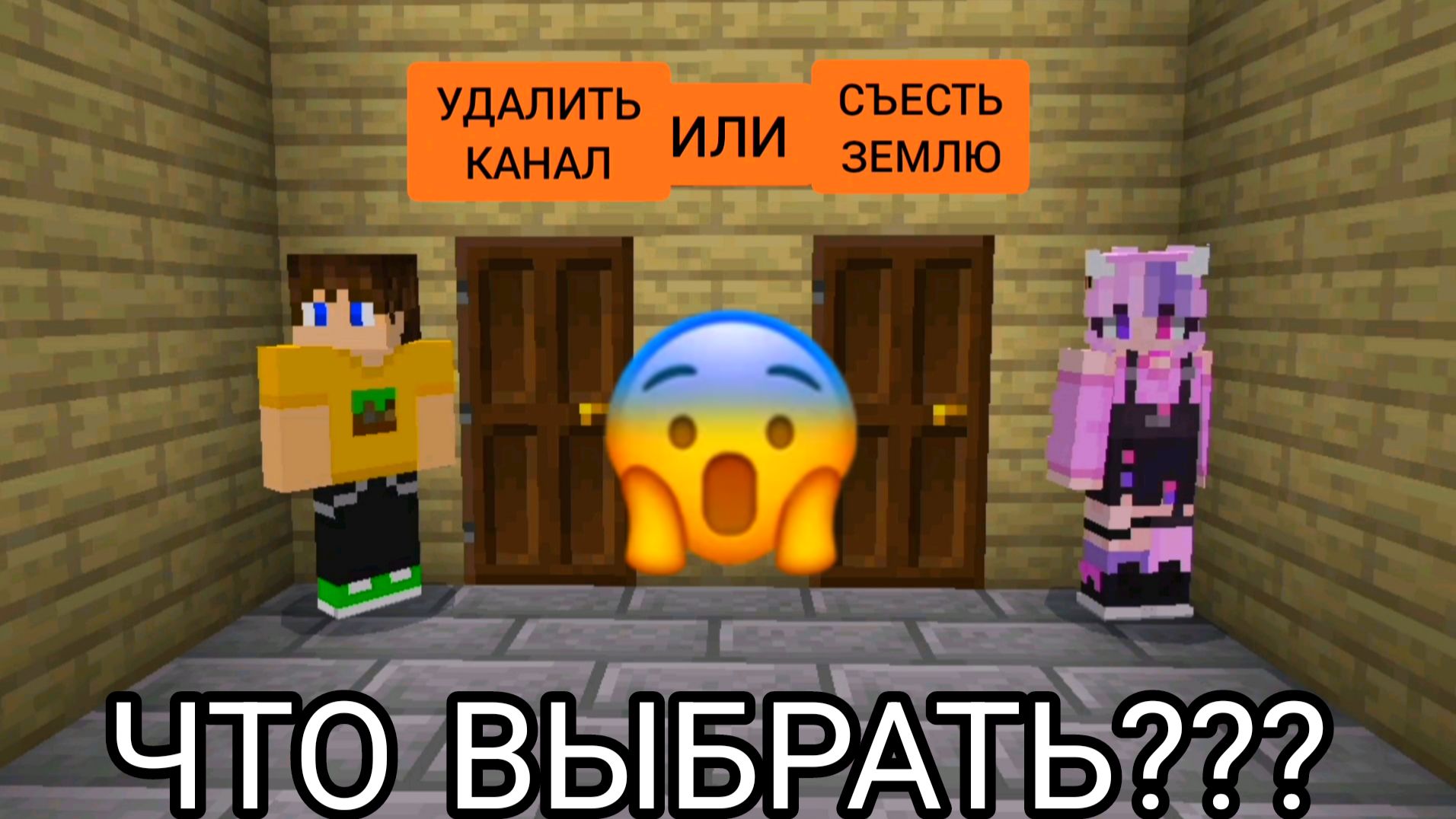 Выборы
