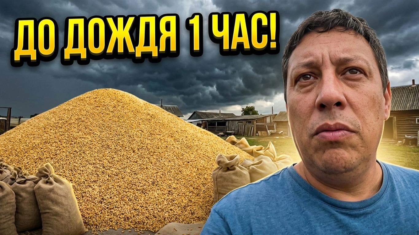 Деревенские будни