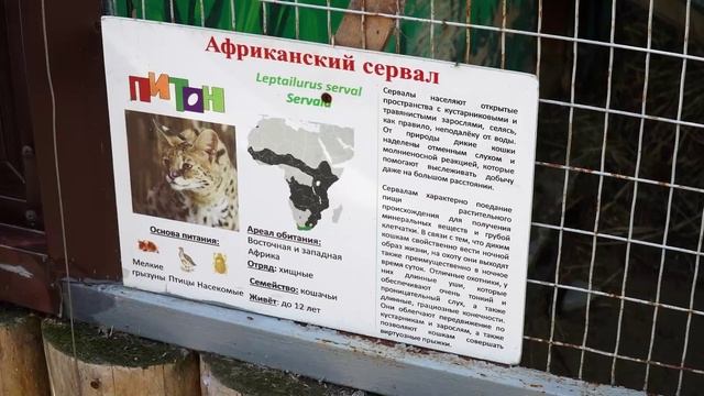 Итоги недели