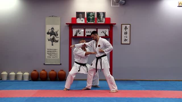 Учебное видео, Годзю Рю / Educational video, Goju Ryu