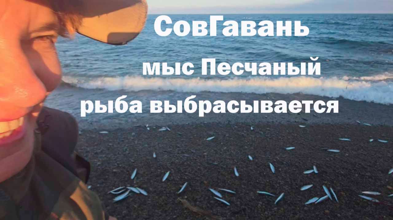 #мыс_Песчаный#СовГавань