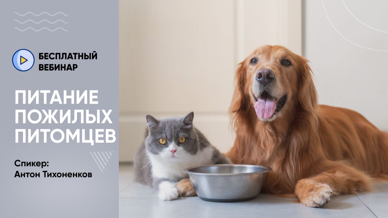 Вебинары