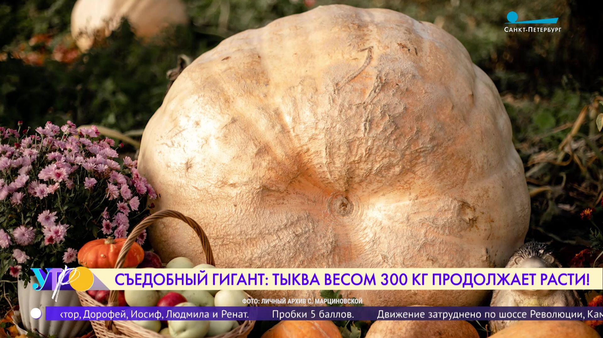 Хобби
