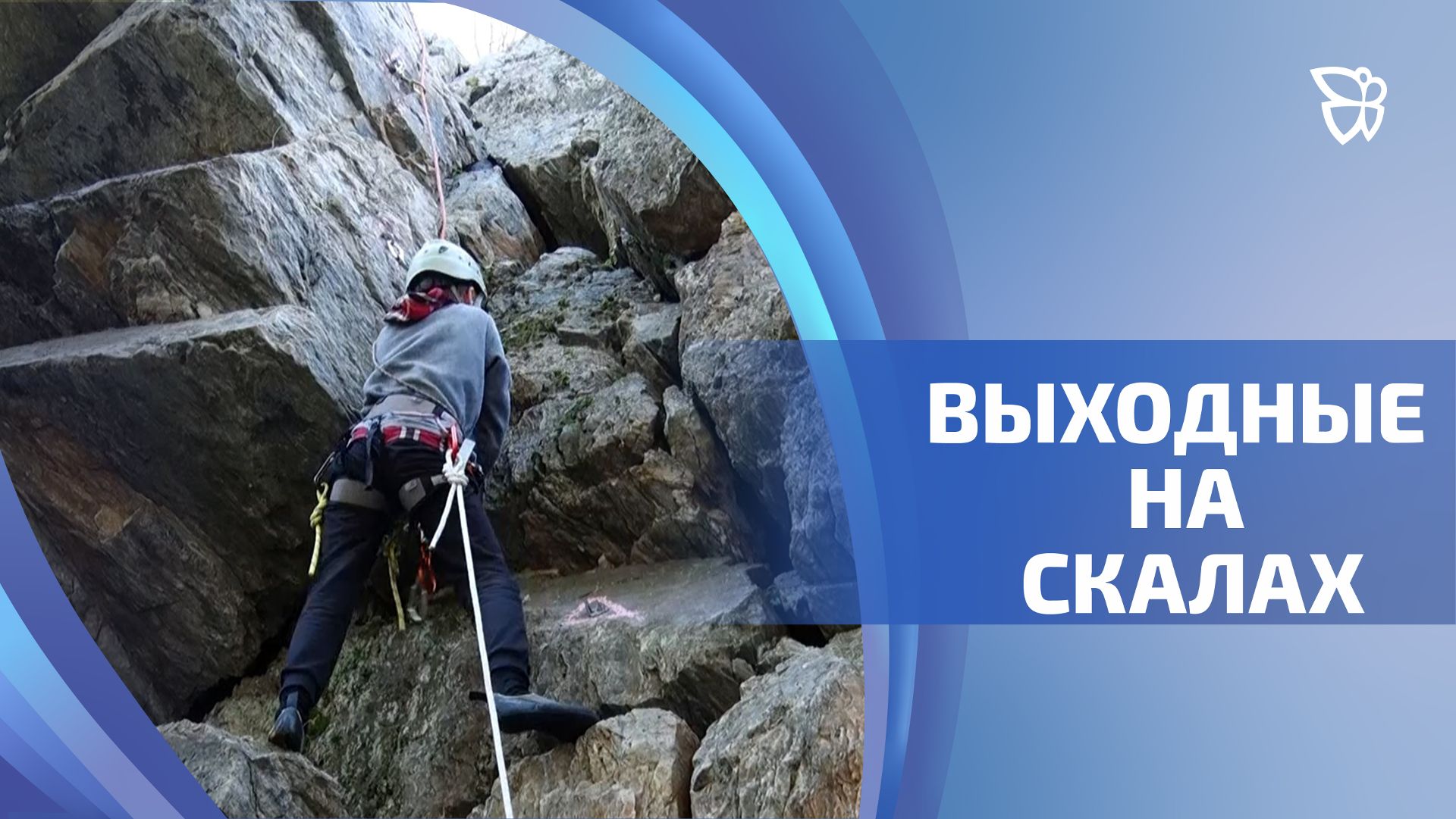 Новостные репортажи / Главное