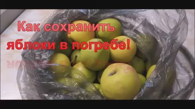 Домашине хлопоты! Разное!