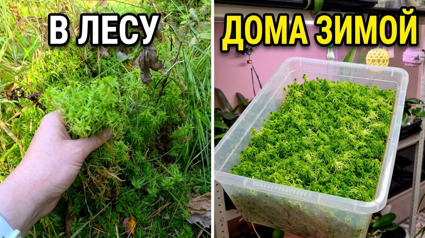 Выставки и Поездки