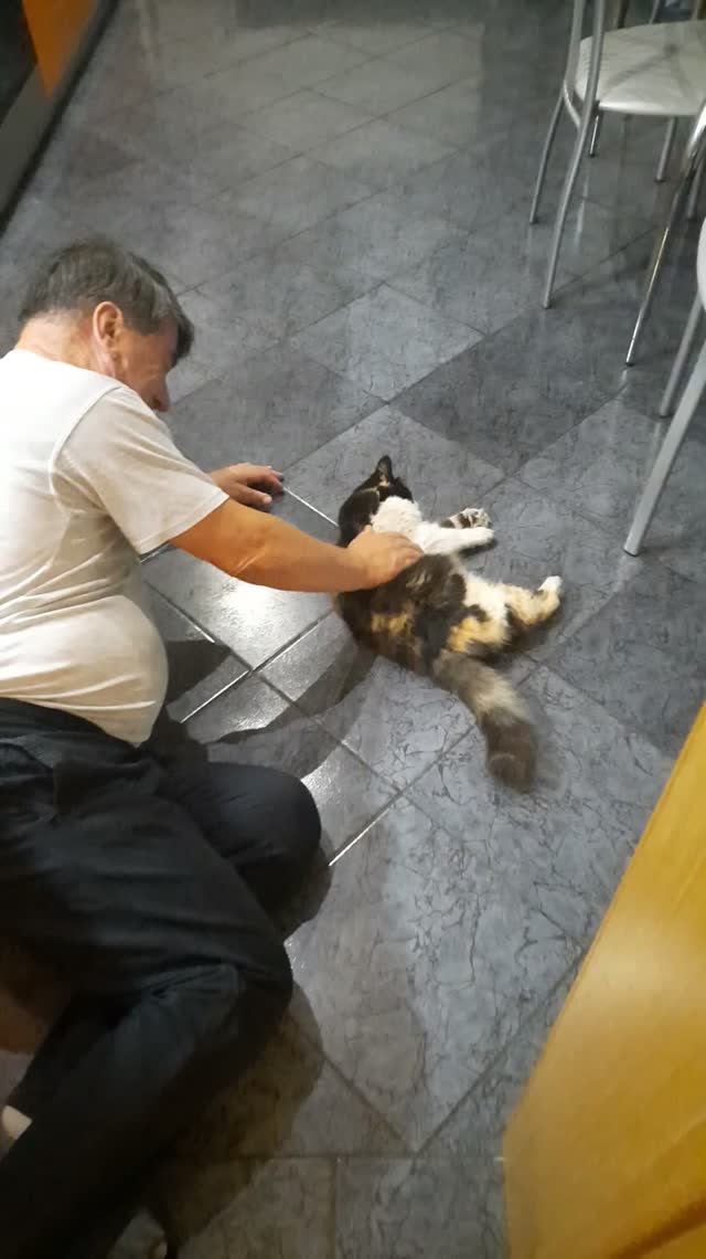 Это интересно