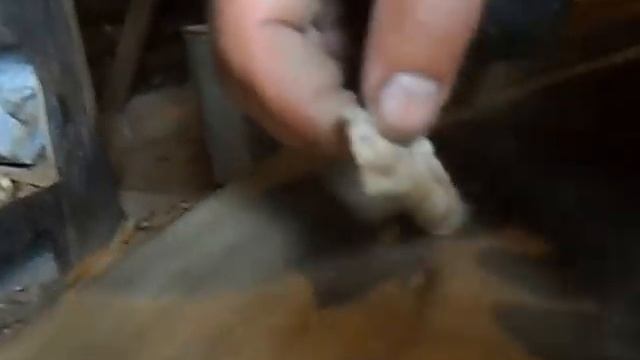 Прочее видео