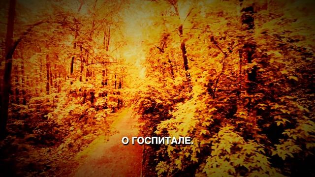 Мистические истории про лес