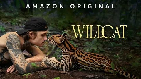 Все фильмы — полная коллекция фильмов Amazon Prime Video