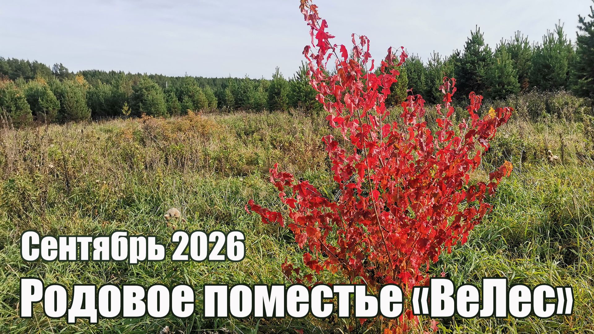 Живу и радуюсь в Родовом поместье