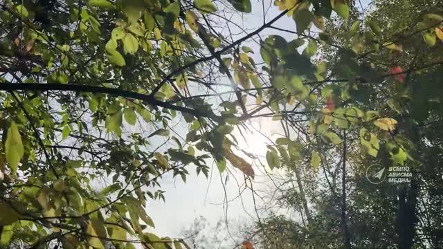 Сюжеты корпоративного ТВ