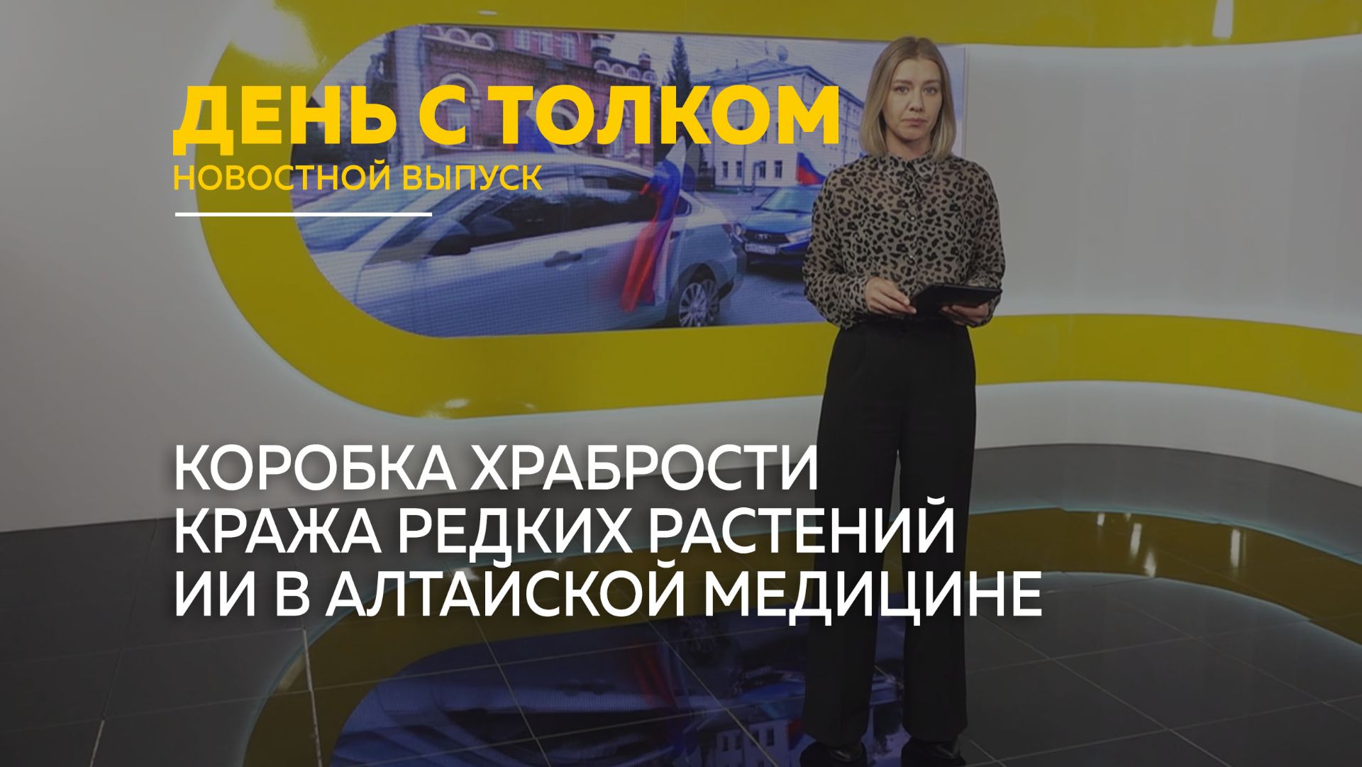 День с Толком