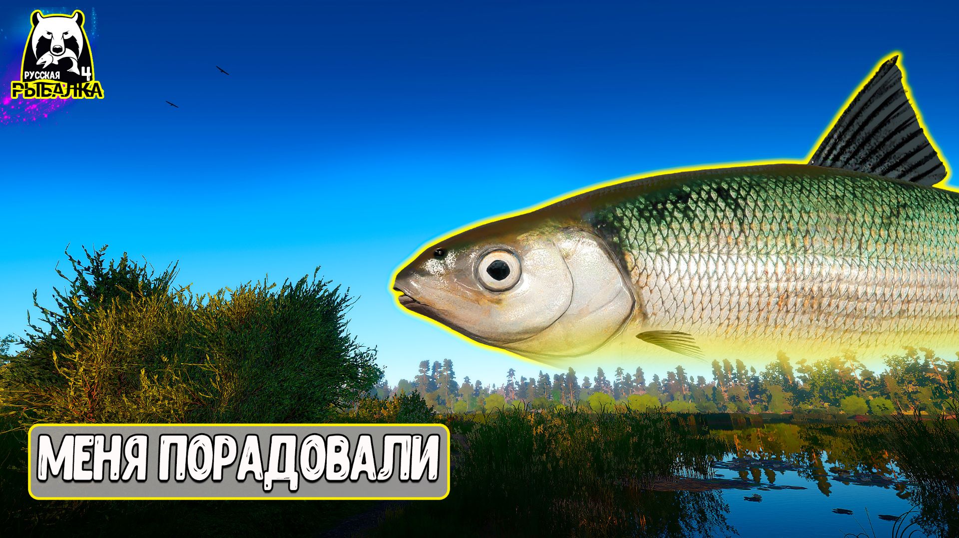 Рыболовные будни