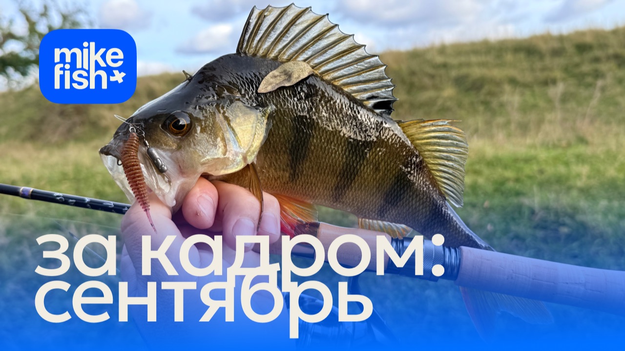 Рыбалка на белого хищника