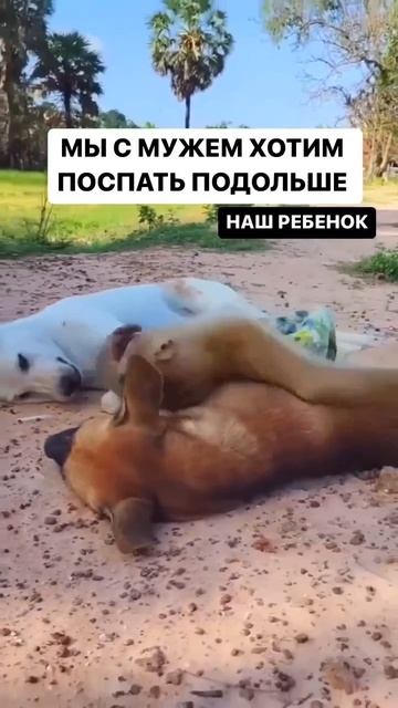 мем