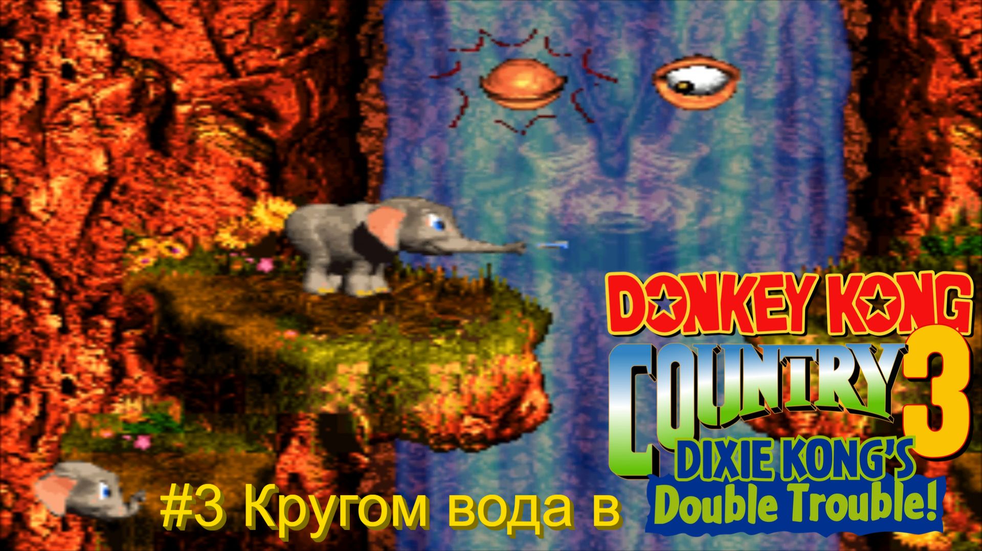 Donkey Kong Country 3