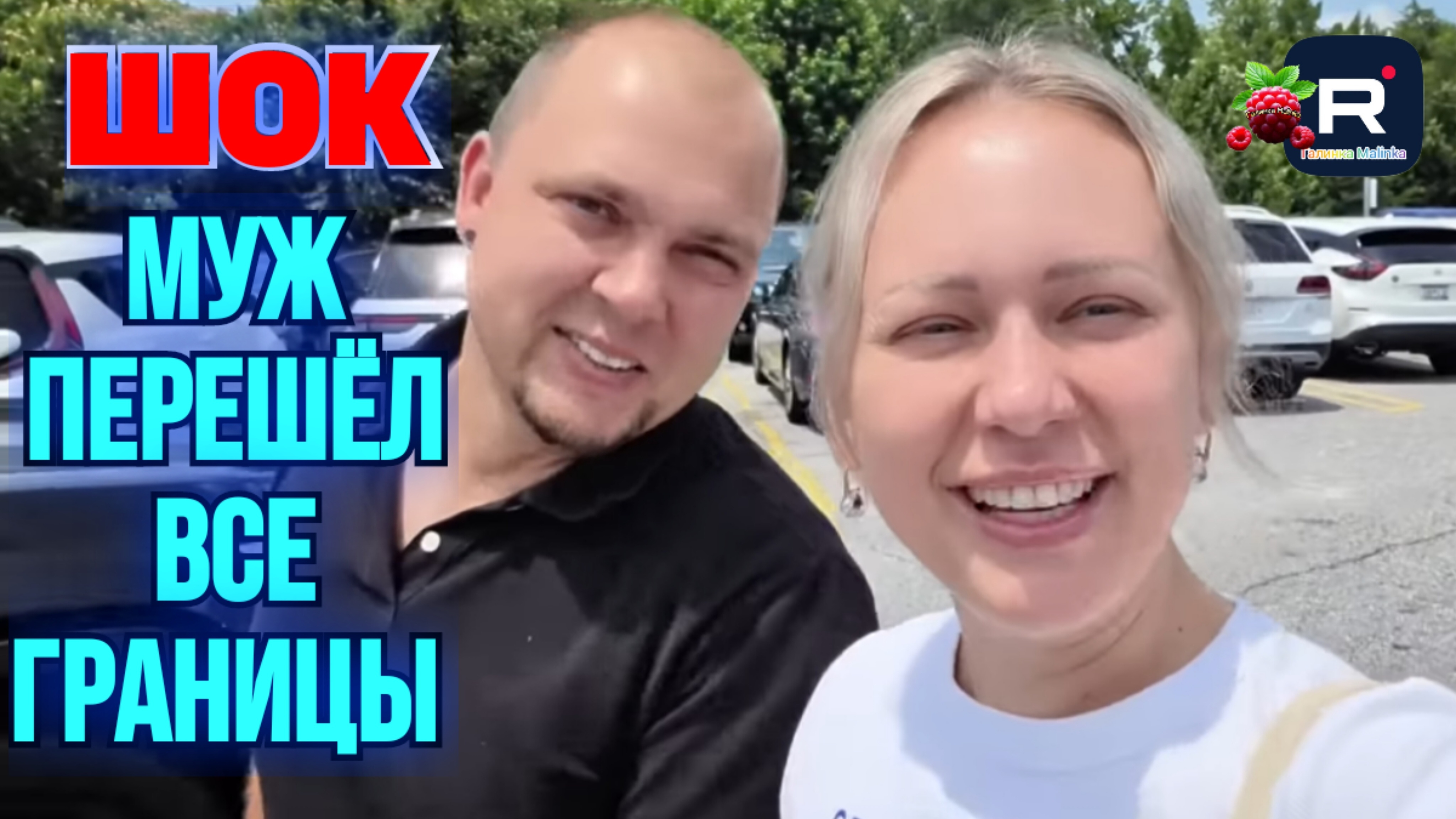 Лиса в Америке