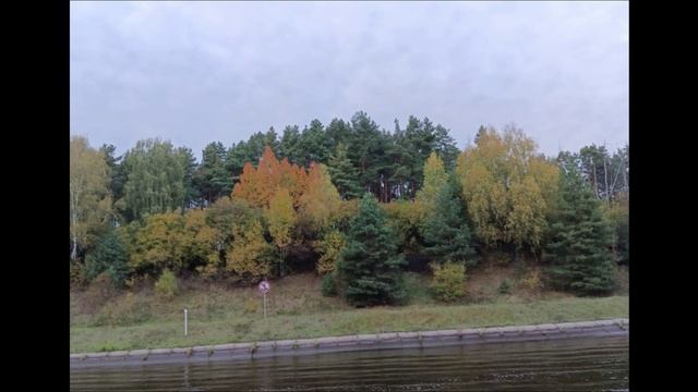 Творчество моих друзей