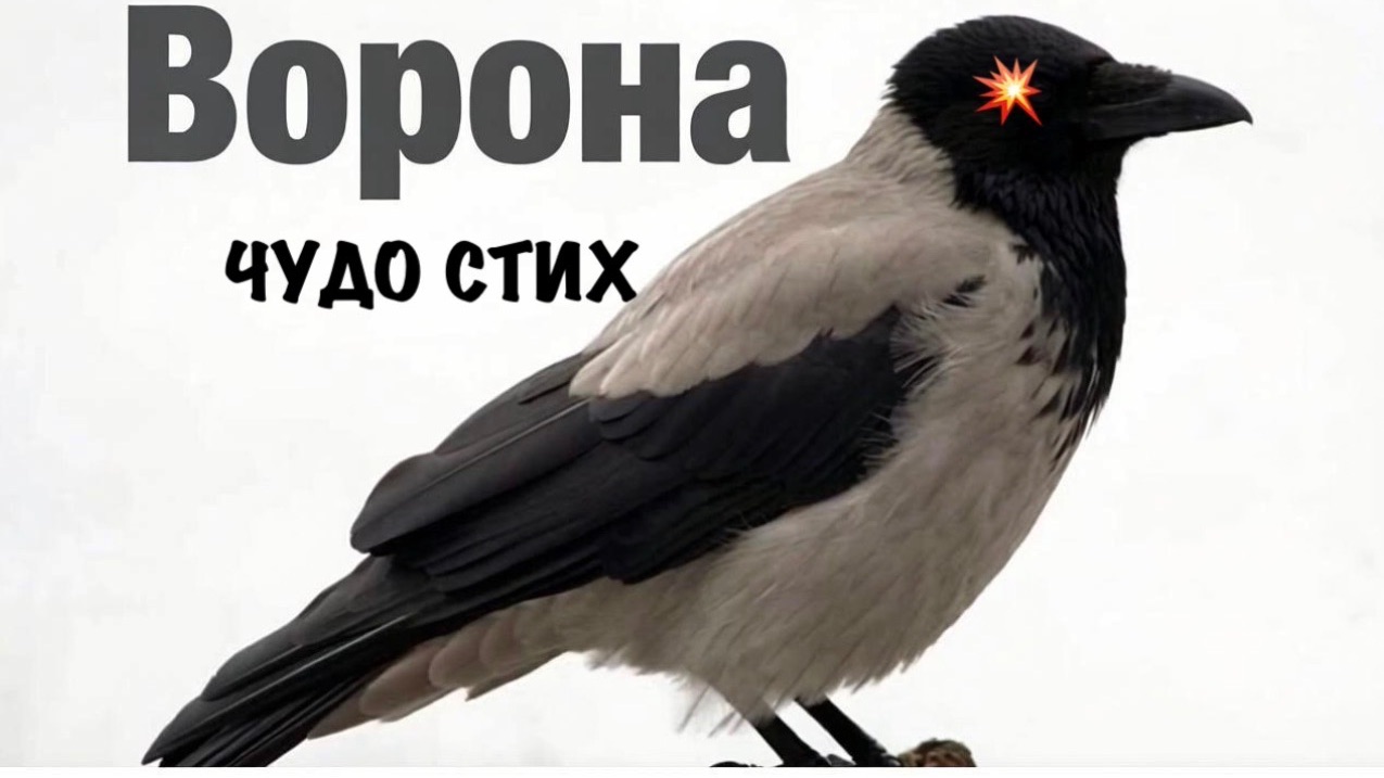 УНИКАЛЬНЫЕ СТИХИ