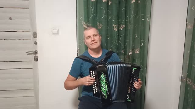 Песни под гармонь