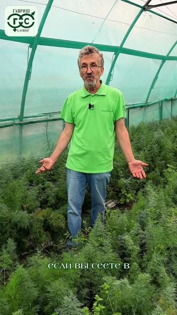 Зеленные от агрофирмы ″Гавриш″