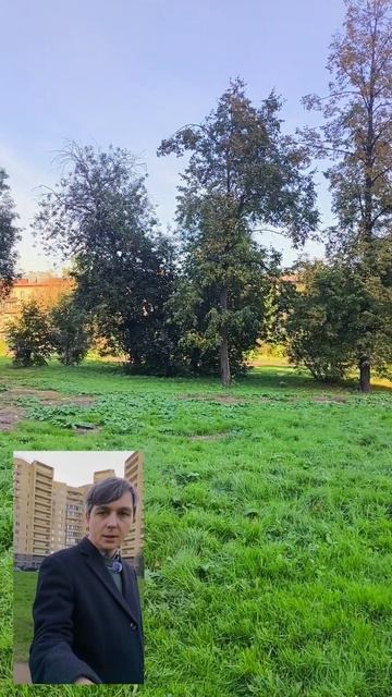 Новостройки Петербурга