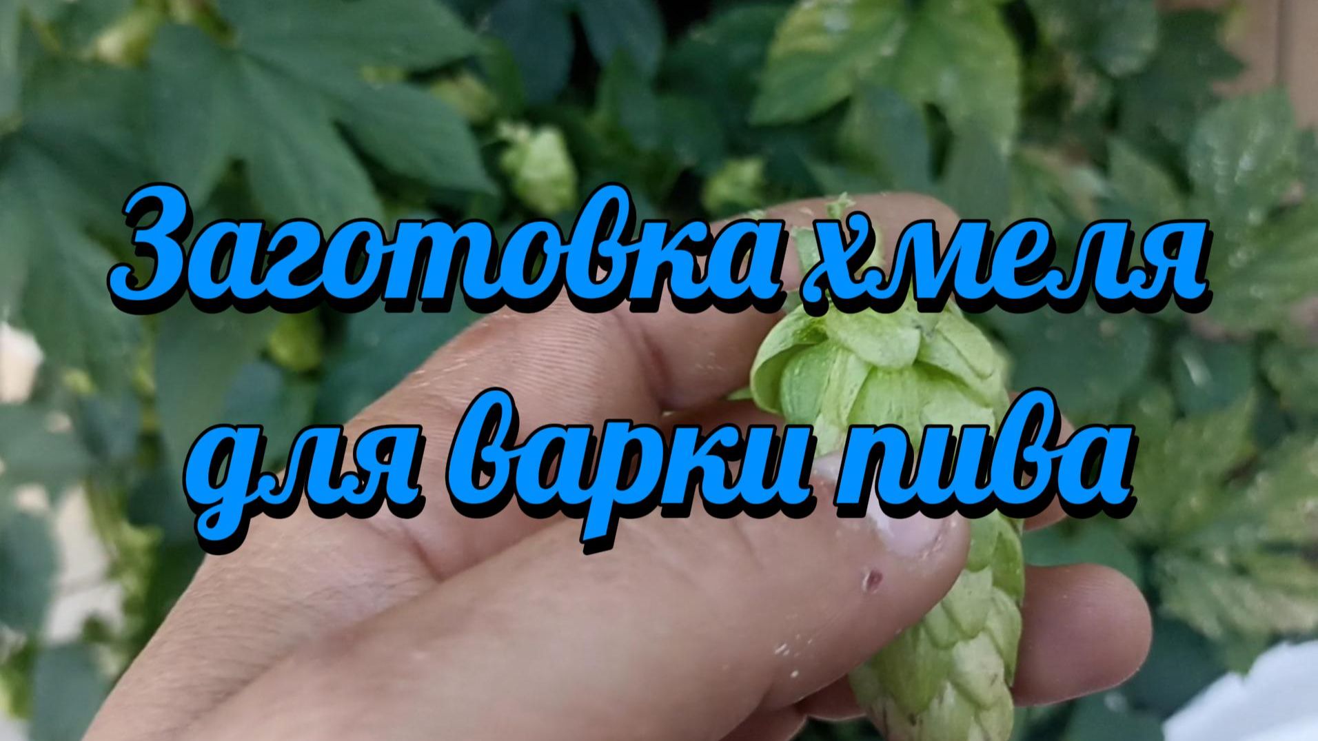 Огород и другие хлопоты по дому.