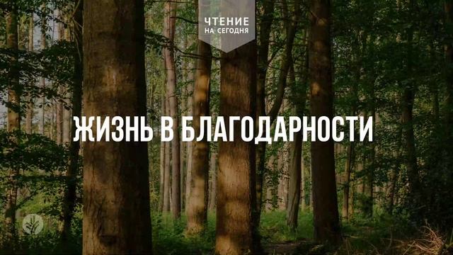 АУДИО | 2026 | Ежедневное христианское чтение