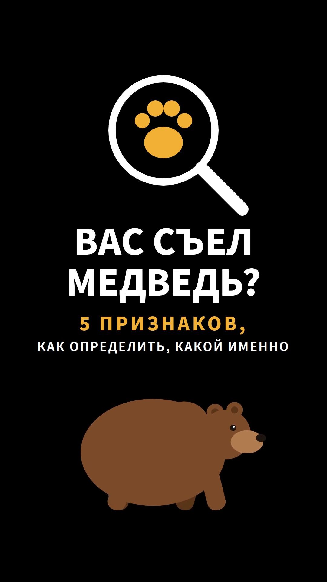 Видеопроекты