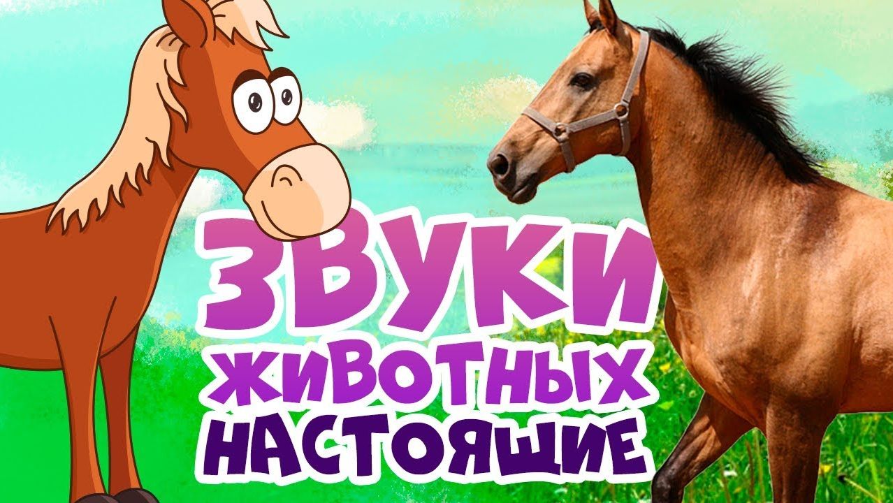 КАК ГОВОРЯТ ЖИВОТНЫЕ