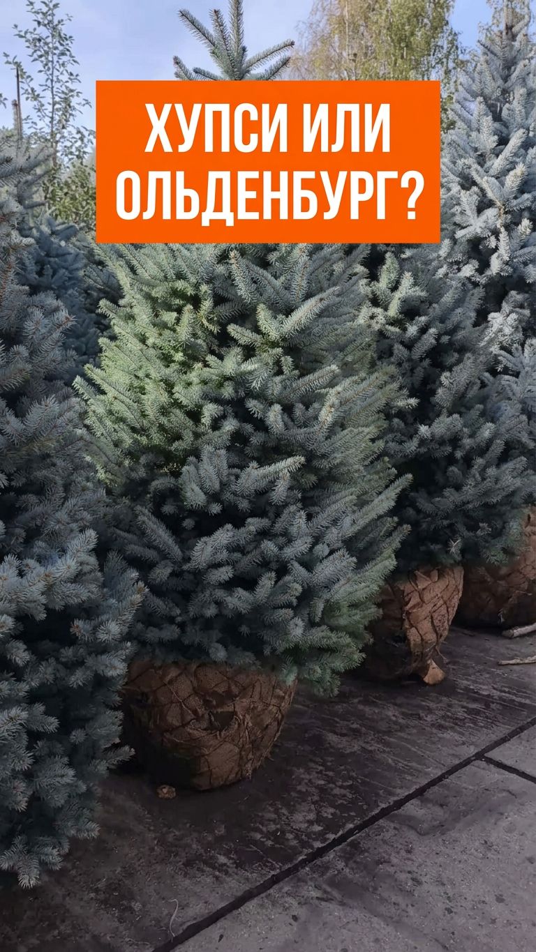 Для садовода