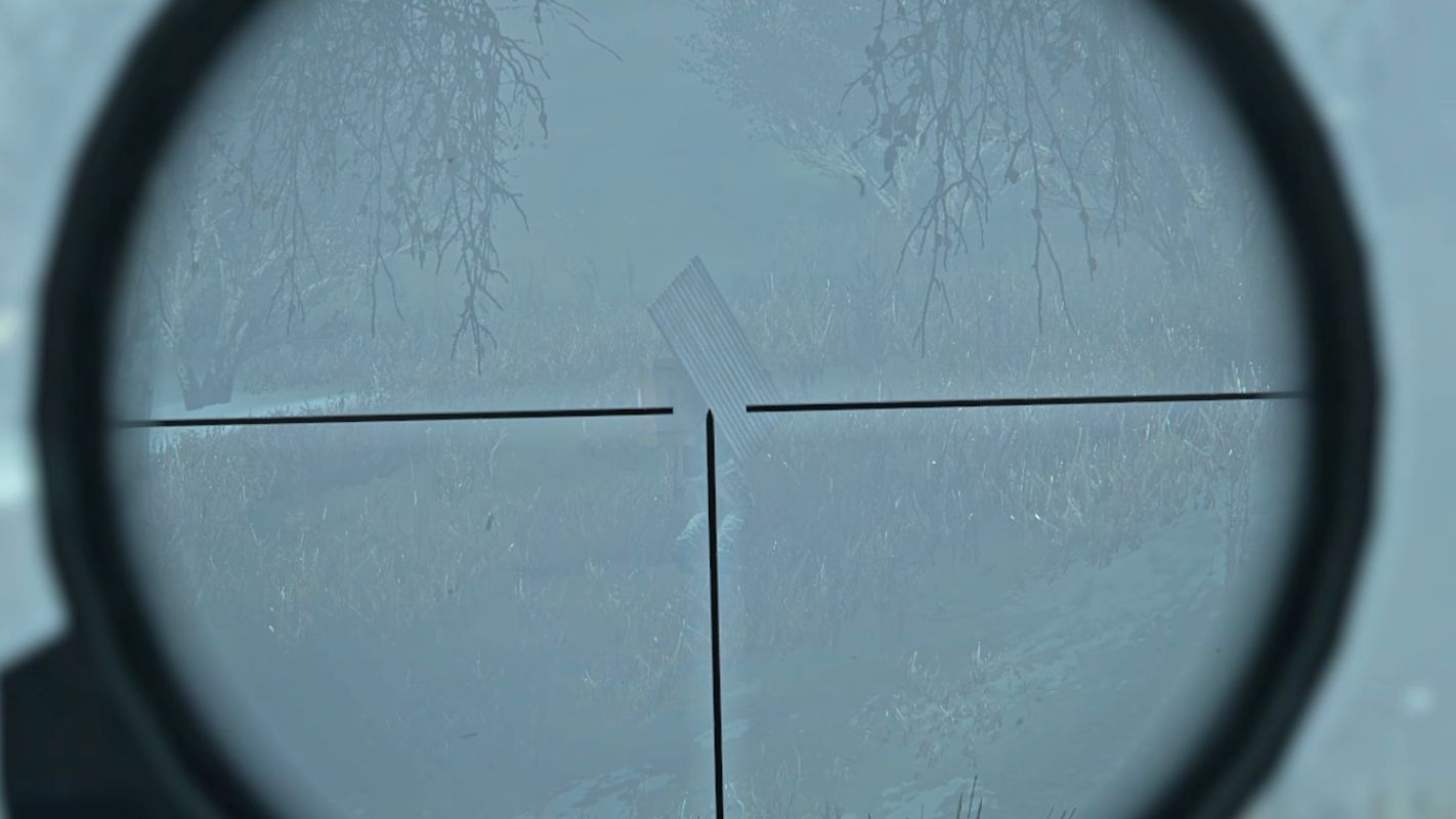 DAYZ