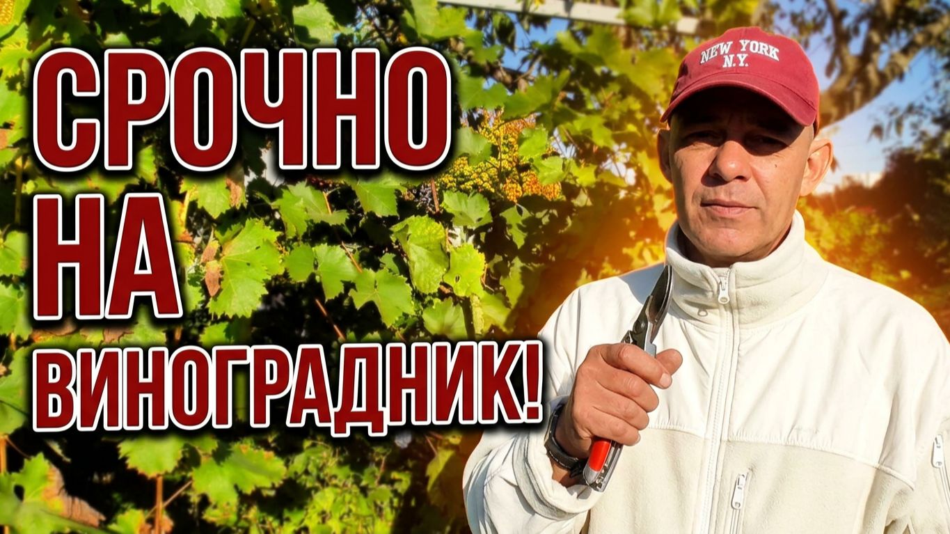 ВИНОГРАДАРСТВО