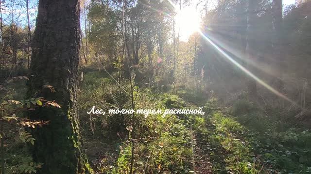 Из русской поэзии