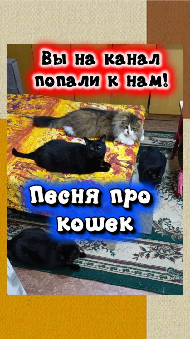Красивые песни и видео