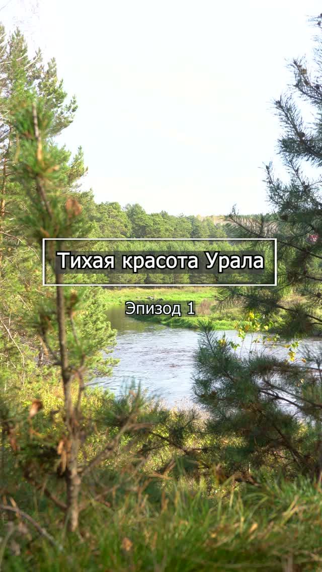 Видео о туризме и отдыхе