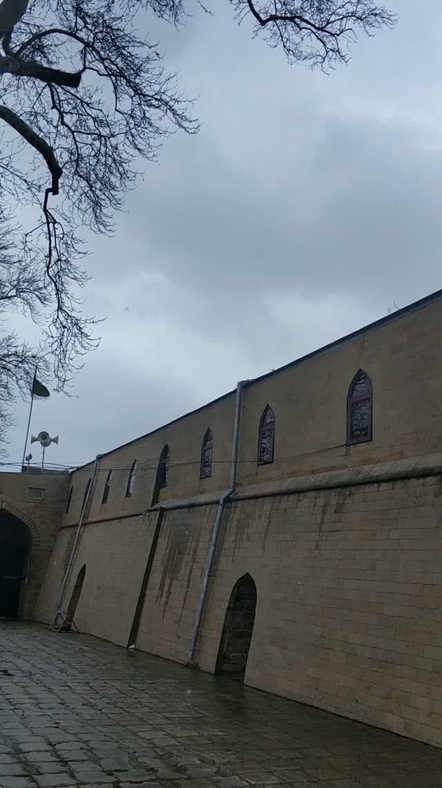 Кавказ 🇷🇺